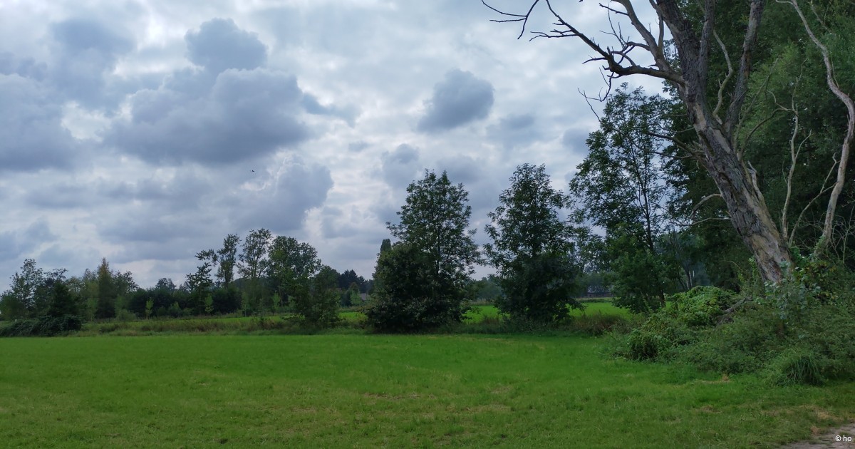 Over Winterwandeling 2024 - Schoonaarde